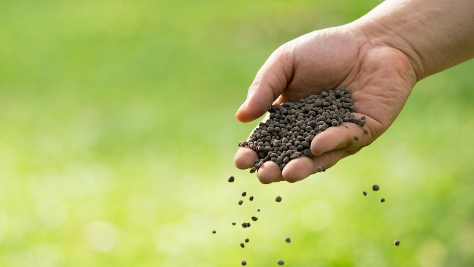Nova ferramenta: plataforma de venda de fertilizantes online – MAB ...