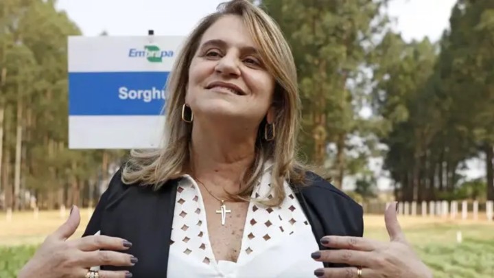 COP30 será momento para Brasil ‘dar show’ de agro sustentável, diz ...